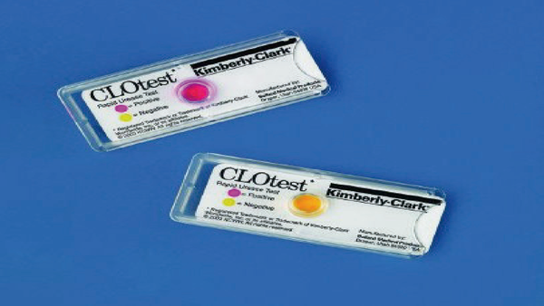 헬리코박터균 제균치료 시 클라리스로마이신 내성검사의 유용성과 임상적 활용